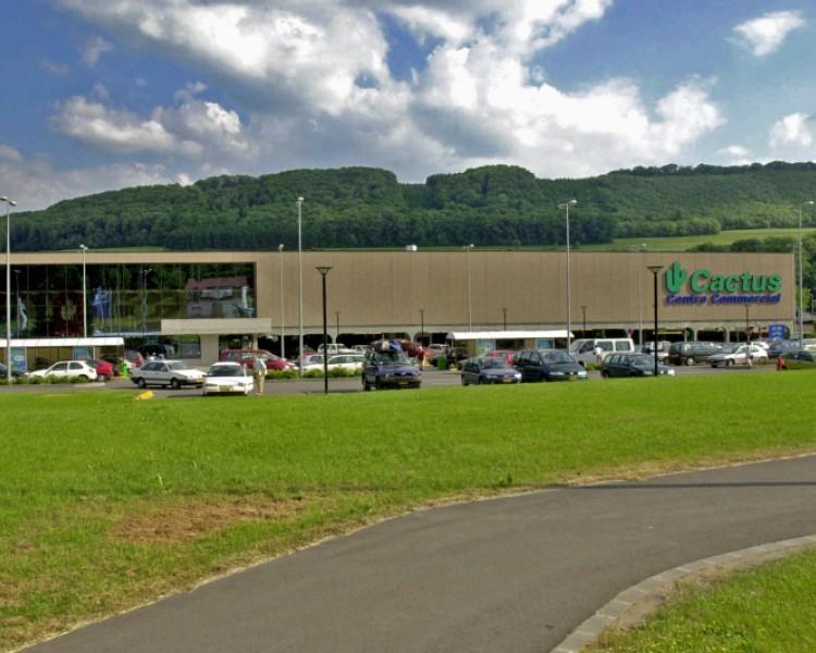 Cactus Ingeldorf - Centre commercial Ingeldorf | Editus